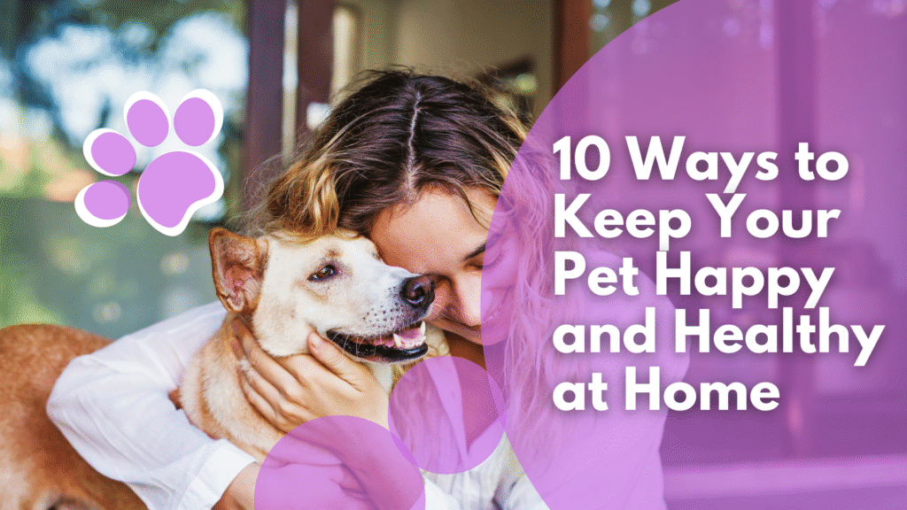 10 Ways to Keep Your Pet Happy and Healthy at Home – The Vet On Main